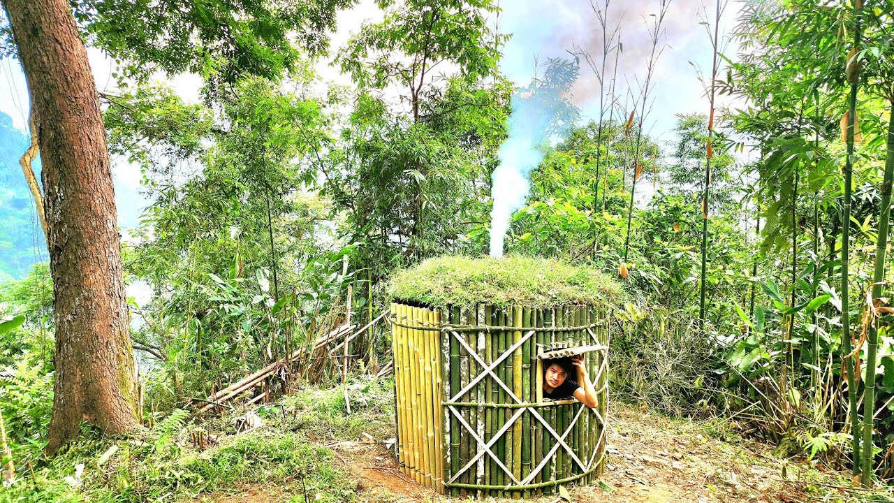 Camping Alone By The Old Tree Under The Sun Bushcraft Bamboo Tent-Triệu ...