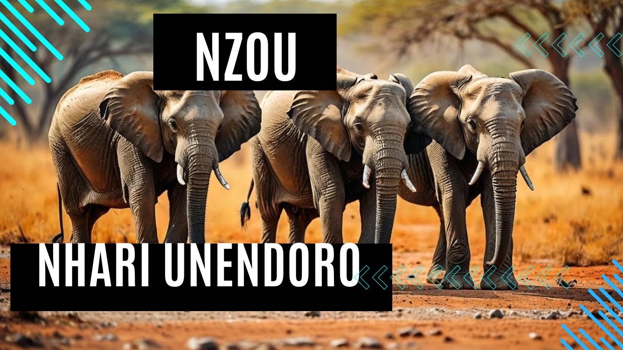 Nzou Nyamasvisva| Zimbabwe totems | Shona poetry - YouTube