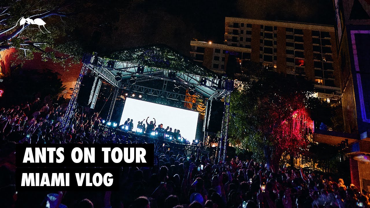 ANTS on Tour | Miami Vlog 2023 - YouTube