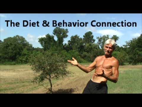 The Diet & Behavior Connection - YouTube