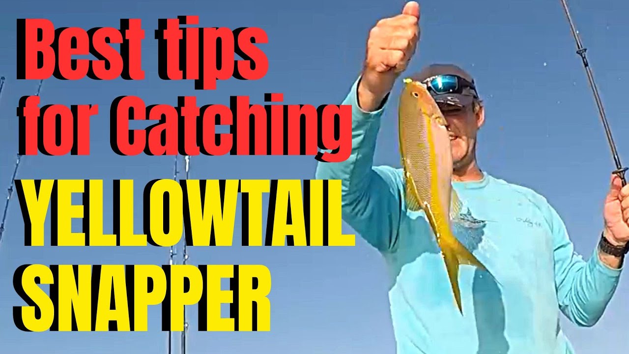 Best tips for catching YELLOWTAIL SNAPPER - YouTube