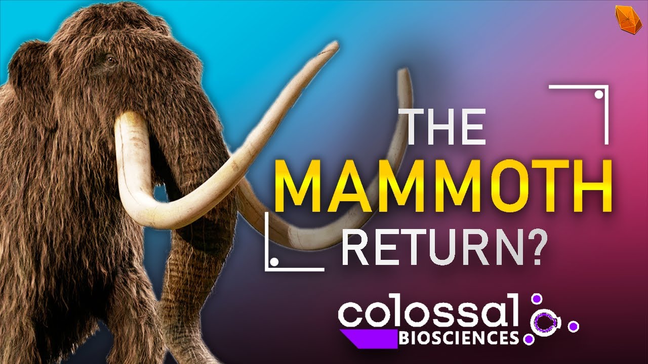 The Return of the Mammoth | InGen in Real Life - YouTube