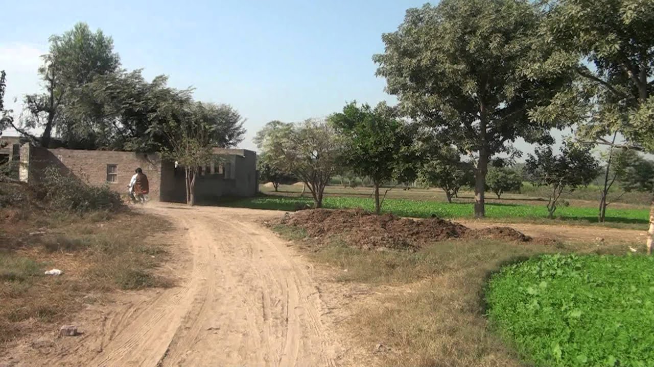 Pind faisalabad 272jb. At the farm house. - YouTube