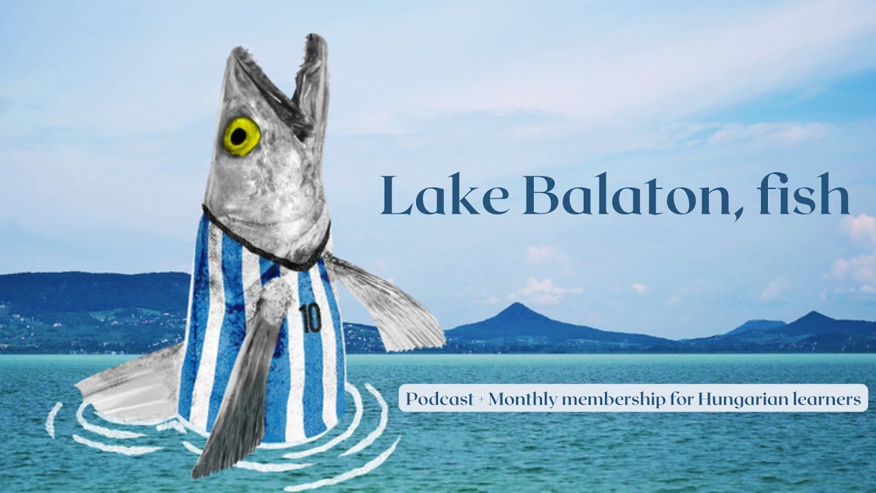 #50 Balaton, halak - Balaton, fish - B2 - YouTube
