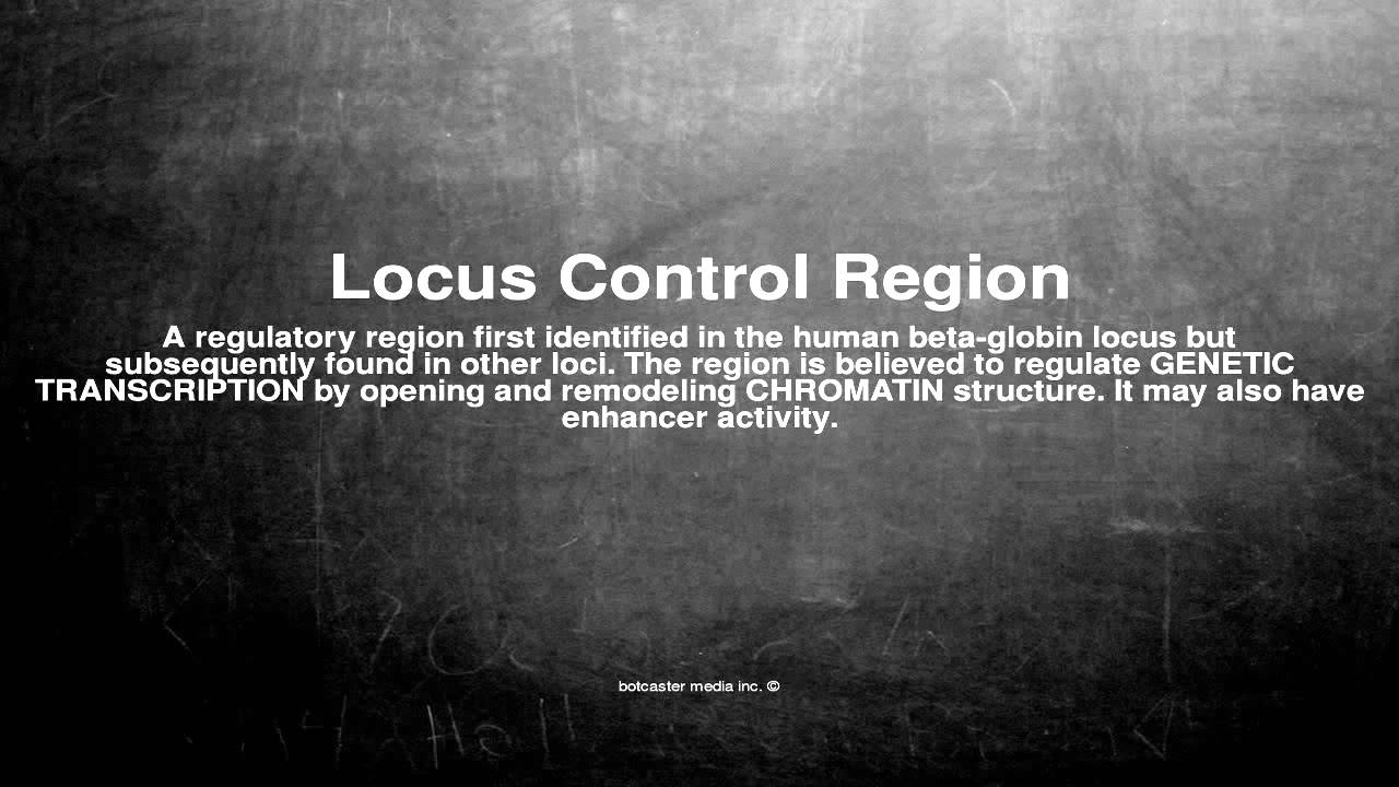 Medical Vocabulary What Does Locus Control Region Mean YouTube medical-vocabulary-what-does-locus-control-region-mean-youtube