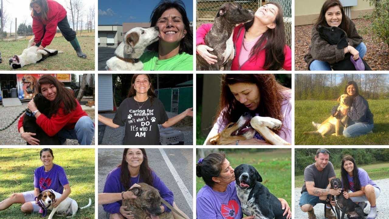 Stephanie And The Dogs - YouTube