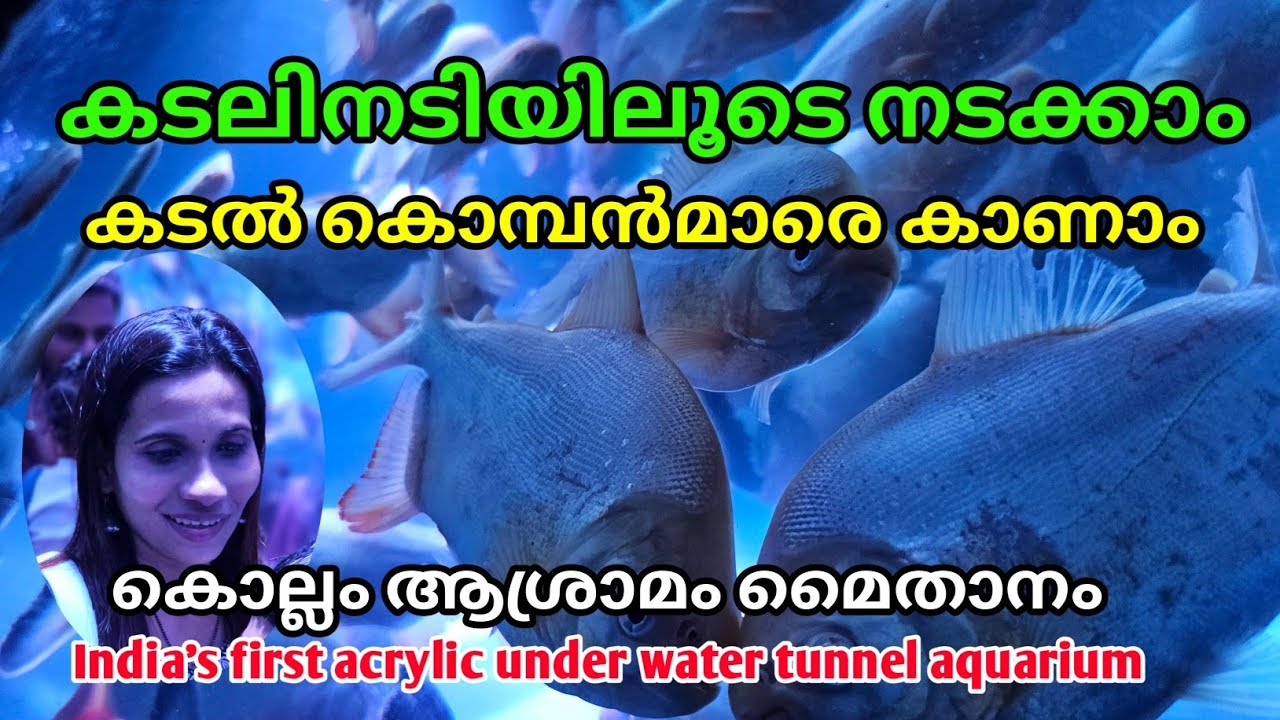 marine world expo | under water tunnel aquarium kollam | kollam fest ...