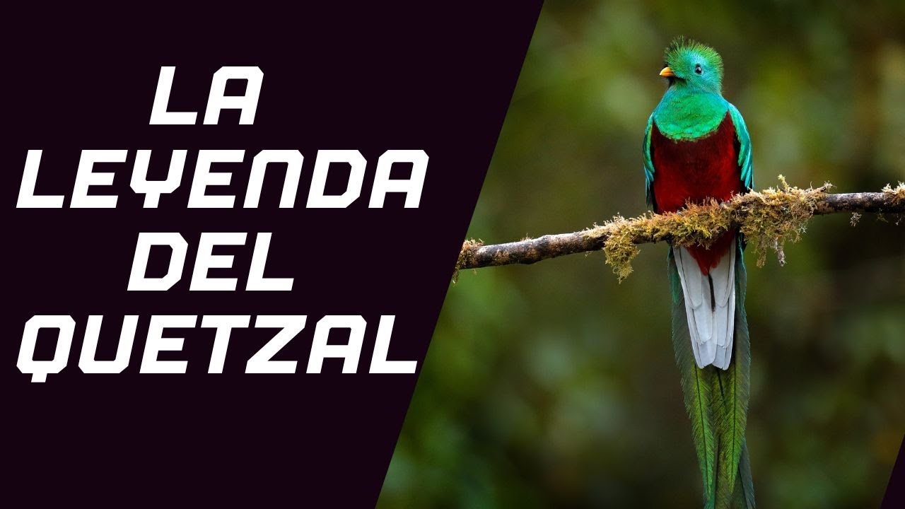 La Leyenda del Quetzal Resplandeciente - YouTube