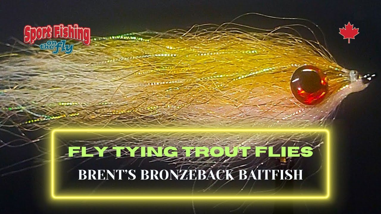 FLY TYING TROUT FLIES - PRO STAFF ON THE BENCH: BRENT'S BRONZEBACK ...