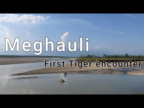 Meghauli, Chitwan