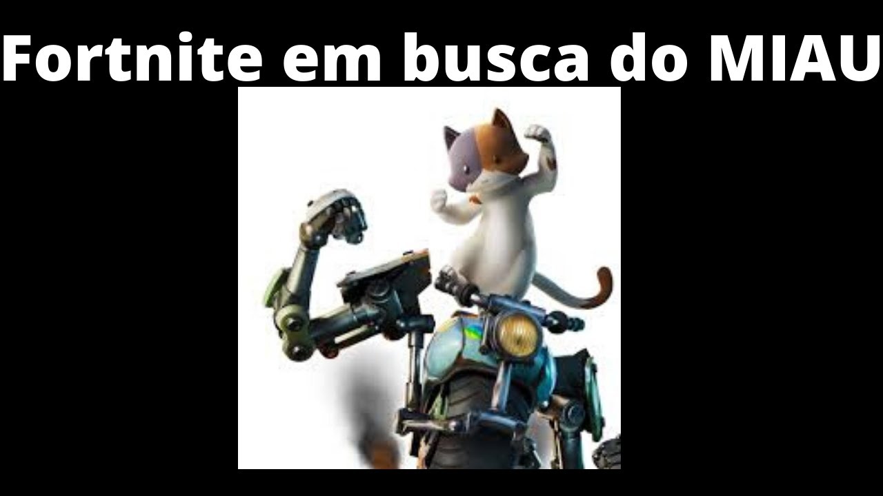 FORTNITE-em busca do MIAU (SERA QUE CONSEGUI ELE?) - YouTube