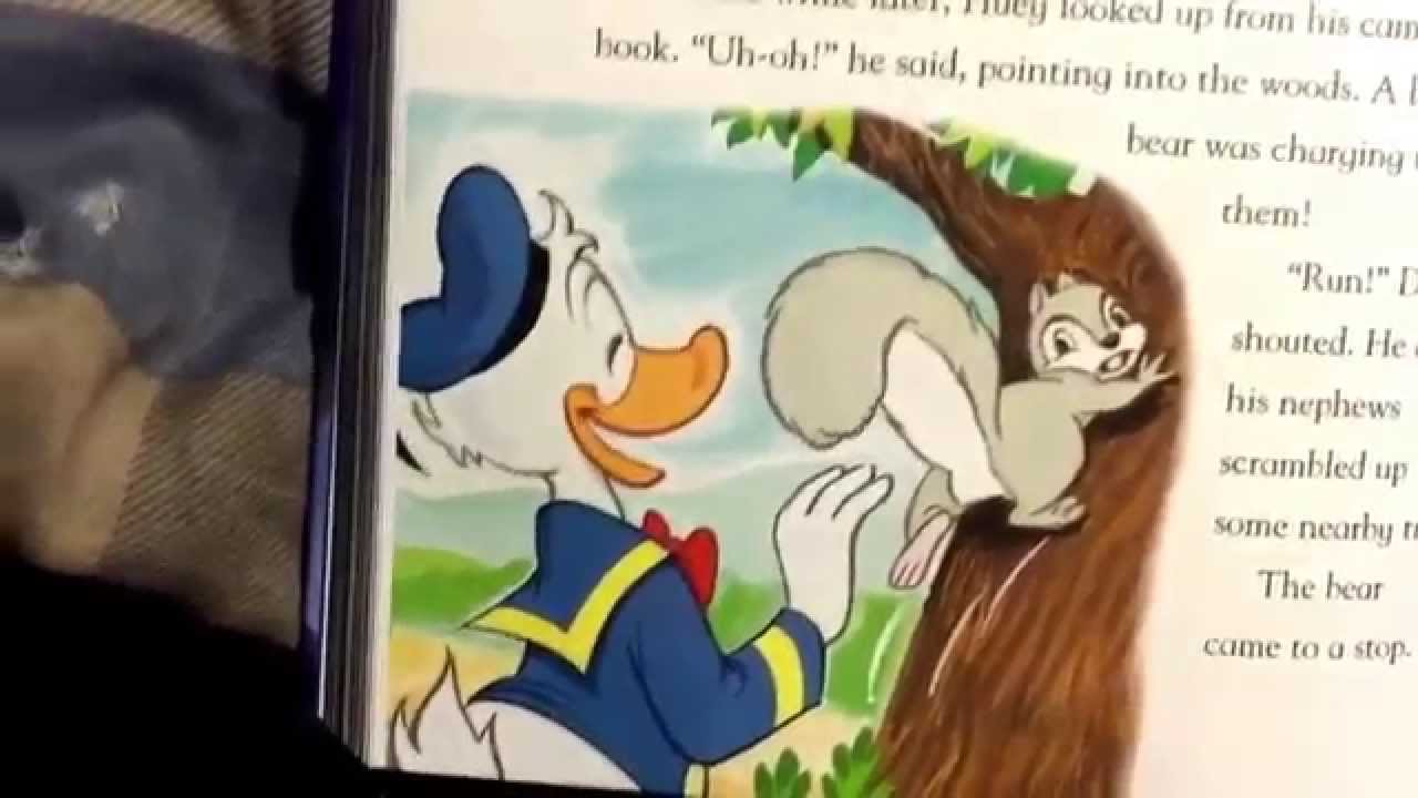 Donald Duck goes camping - YouTube