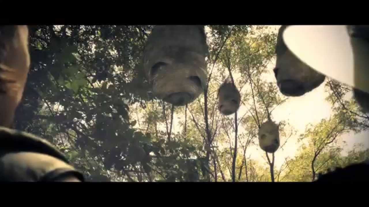 Tsunambee: The Wrath Cometh Official Teaser Trailer #1 (2015) Milko ...