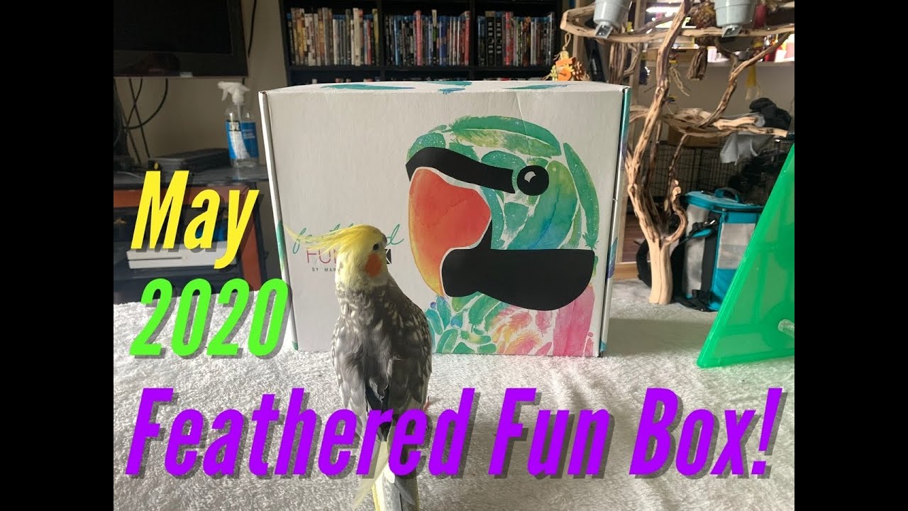 May 2020 Feathered Fun Box Reveal - YouTube