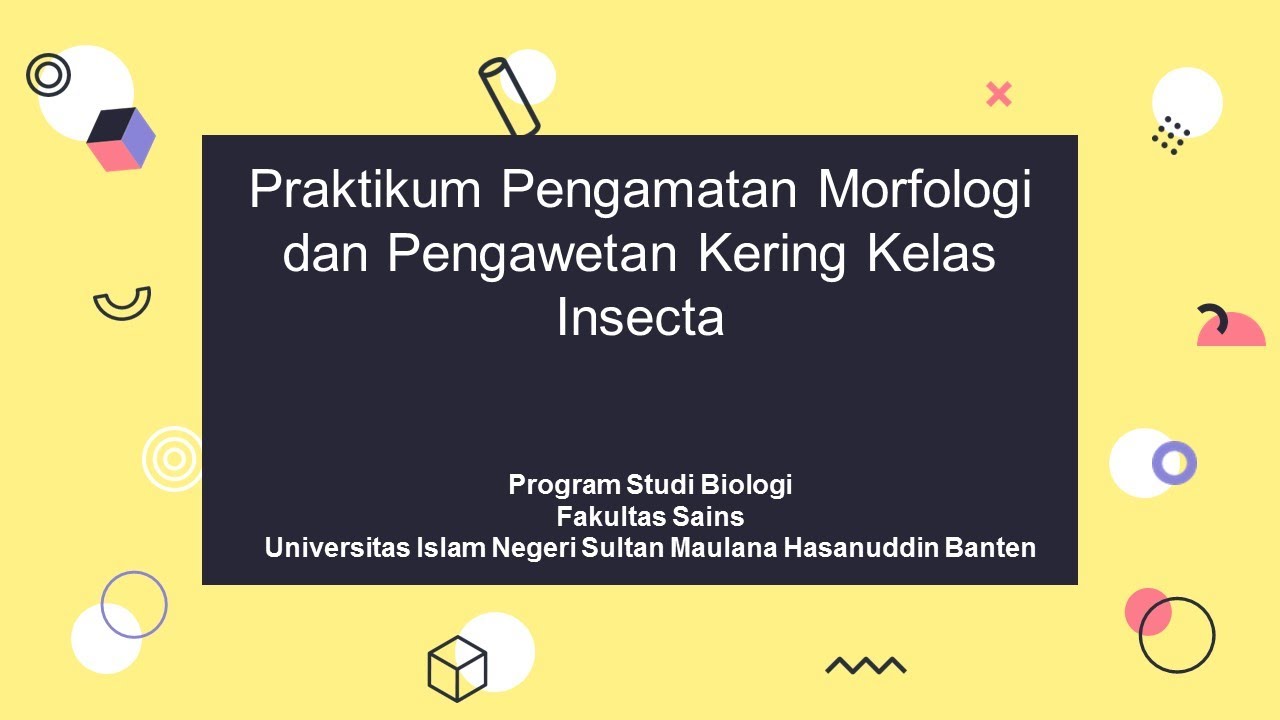 Praktikum Pengamatan Morfologi dan Pengawetan Kering Kelas Insecta ...