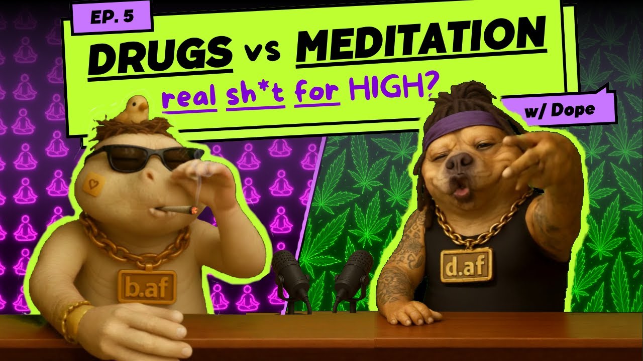 Drugs vs Meditation - The Ultimate Roast Battle - YouTube