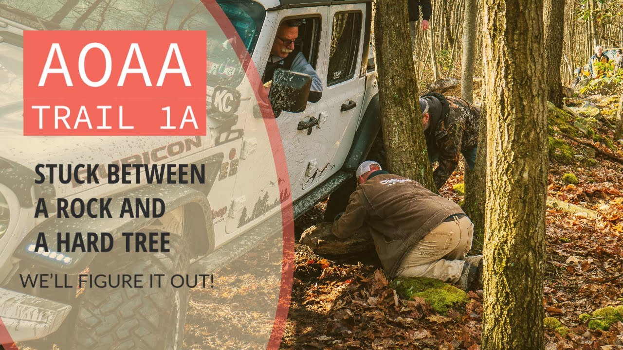 New Year's Day at AOAA on Trail 1A. - YouTube