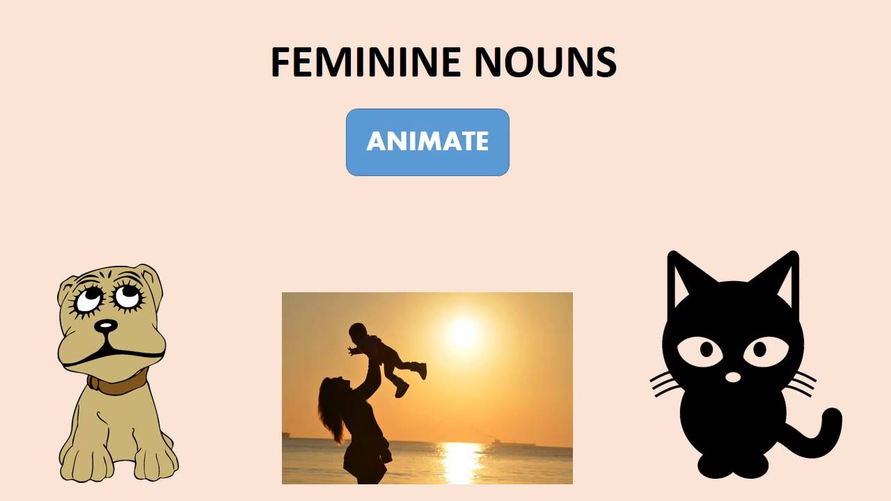 Accusative (inanimate nouns and adjectives) - YouTube