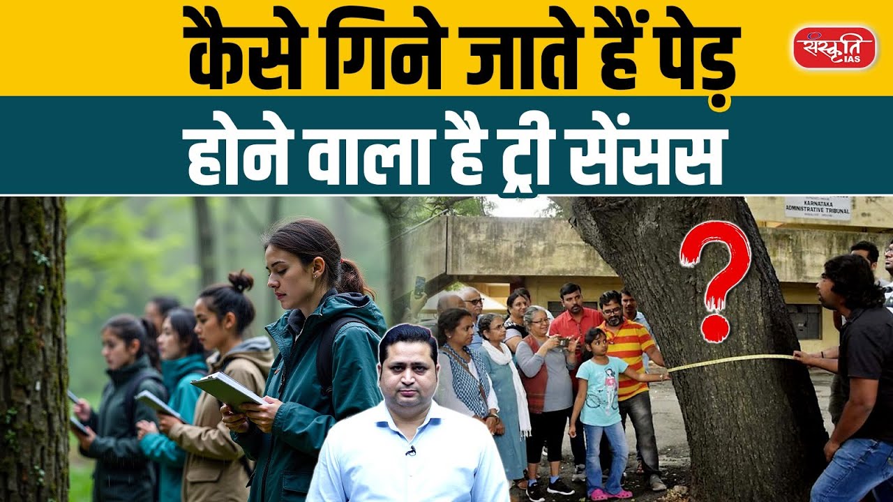 Trees to Get Aadhaar-Like ID in India | How Will the Tree Census Work ...