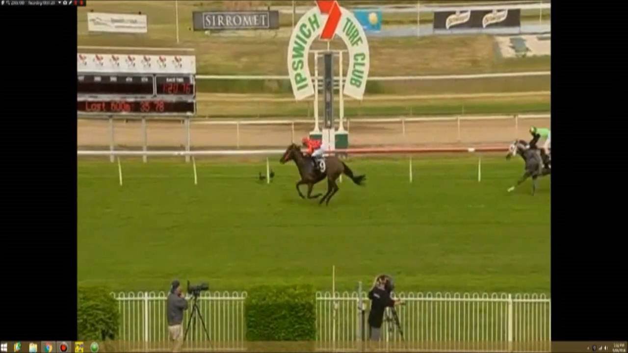 Becoming a Professional Punter (Day 1) - YouTube