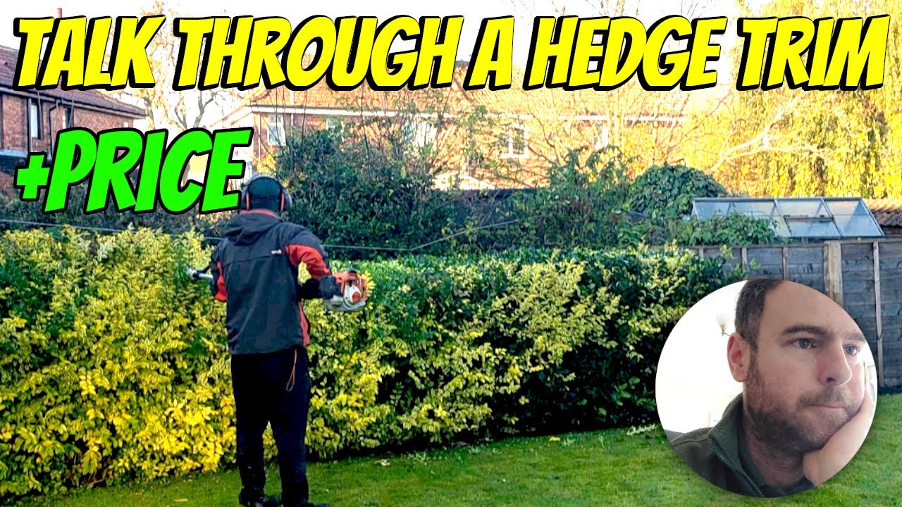 Talking through a Hedge Trim including Price - YouTube