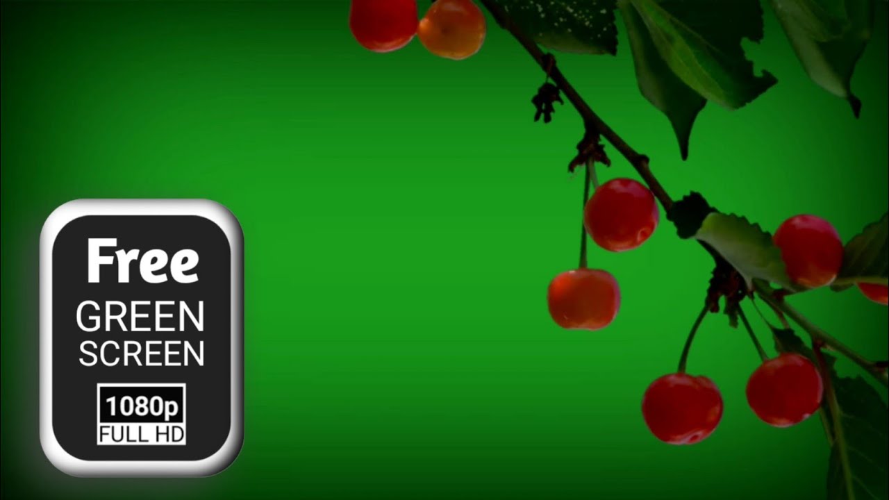 Cherry tree green screen video effects | green screen leaves flying ...