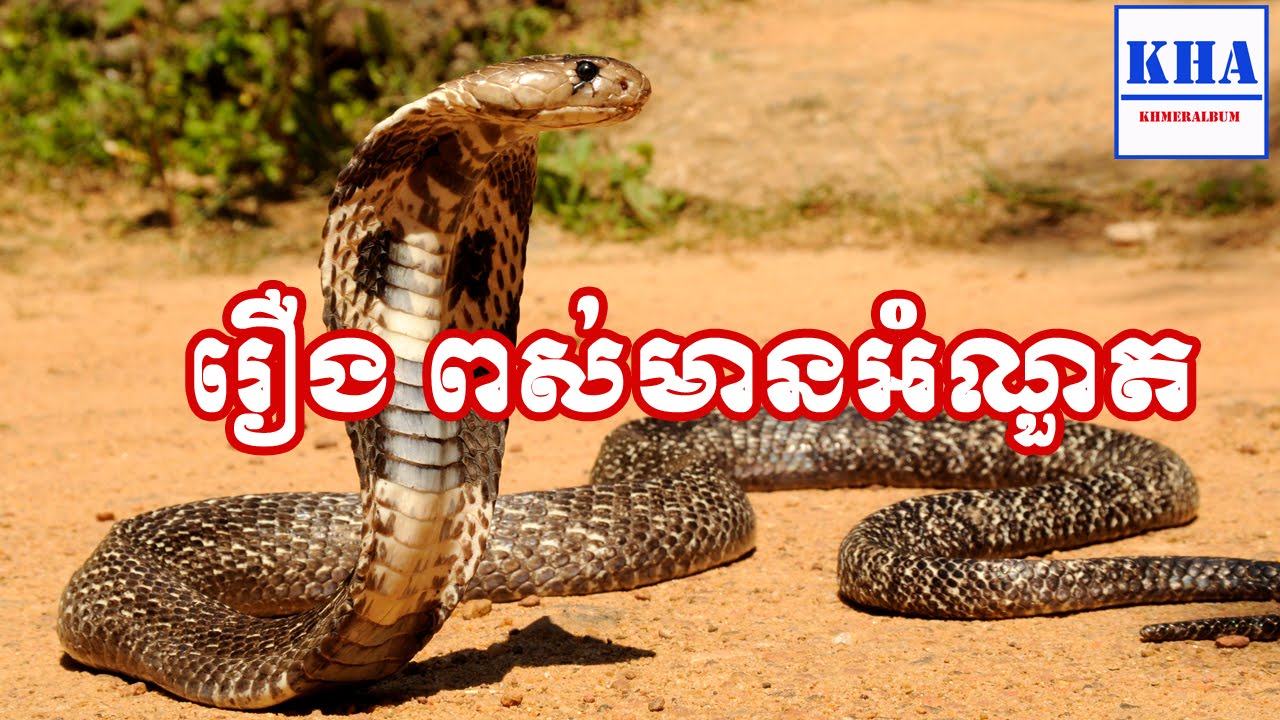 Khmer Legend - រឿង ពស់មានអំណួត (Snake Is Proud) - YouTube