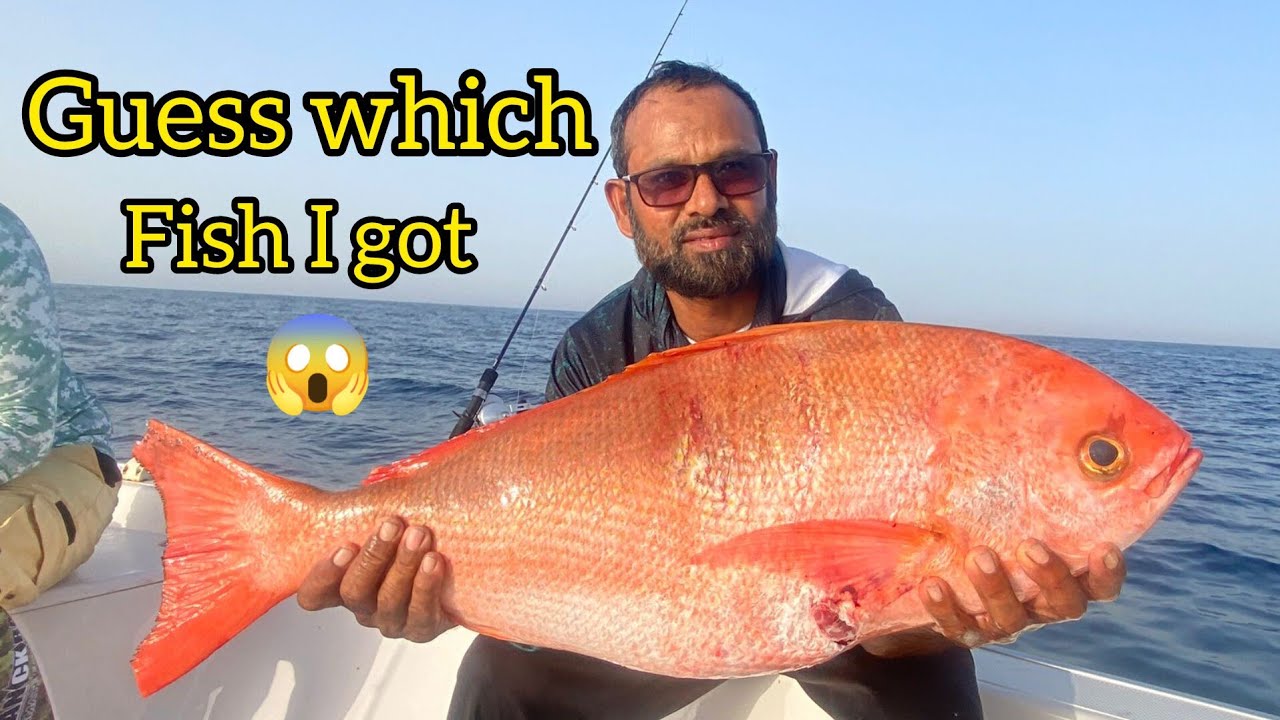 Guess which fish I got in summer boat fishing 😱🎣 See how to use ...