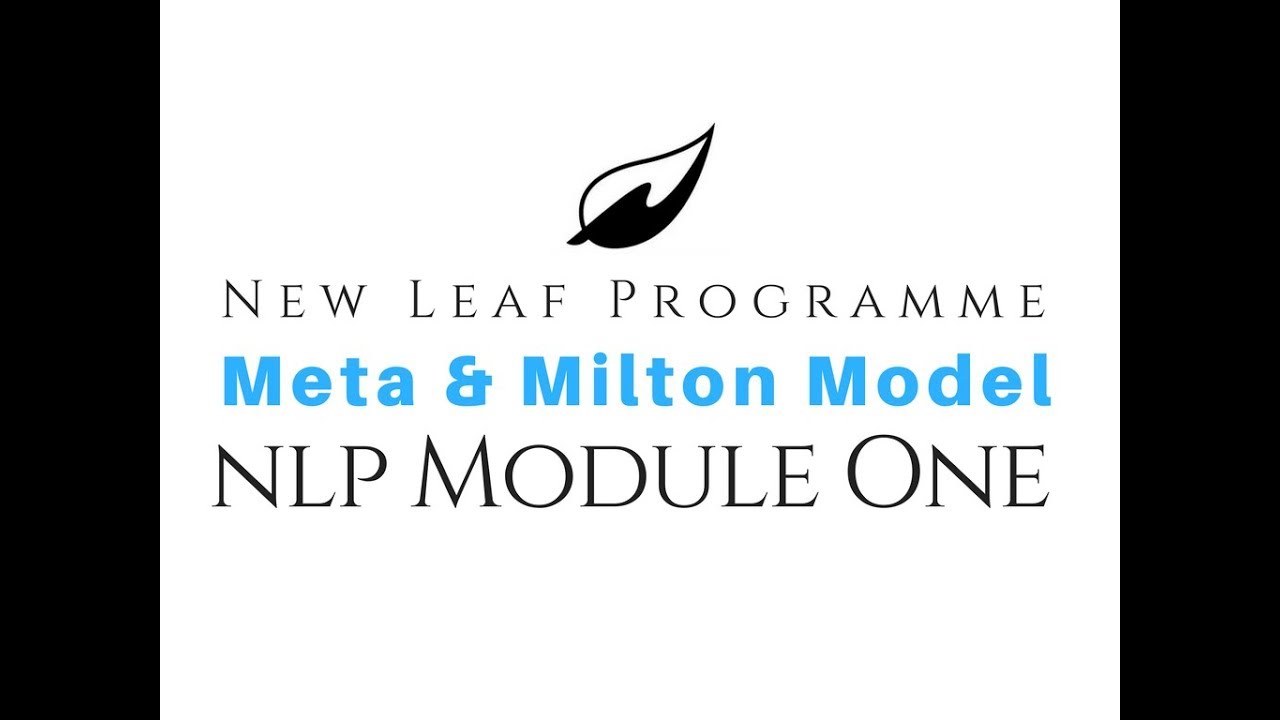 NLP Meta Model & Milton Model Lesson 3 - YouTube