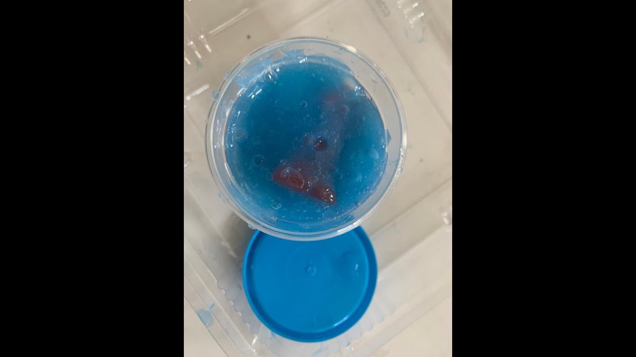 SLIME - STICKY and PINKY STUCK in BLUE SLIME - YouTube