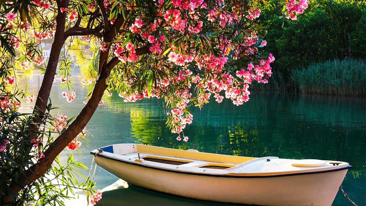 10 Hour Sleep Music to Help You Get A Good Night's Sleep - Destressing ...