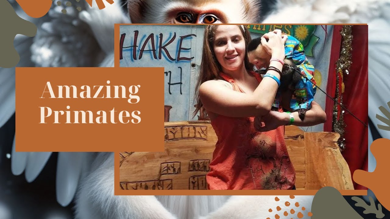 Amazing Primates- Monkeys, Apes, and More! #monkey #apes #animals - YouTube