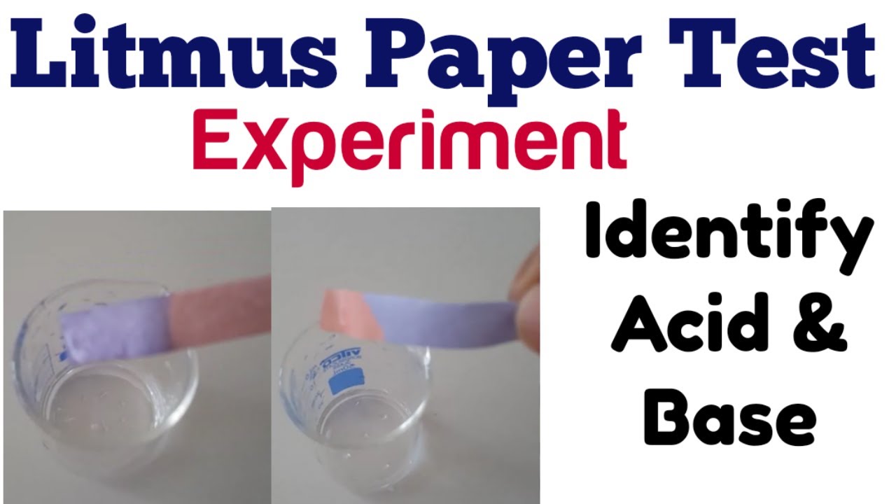 Litmus Paper test I EXPERIMENT- Grade 10 Chemistry I IDENTIFY ACID ...