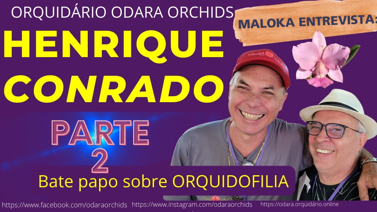 Parte 2 da Entrevista com Henrique Conrado, sobre orquídeas, Cattleya nobilior amaliae ...