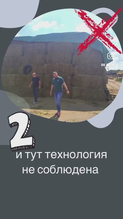 Флис для укрытия сена #shorts #смешное #сельскоехозяйство - YouTube