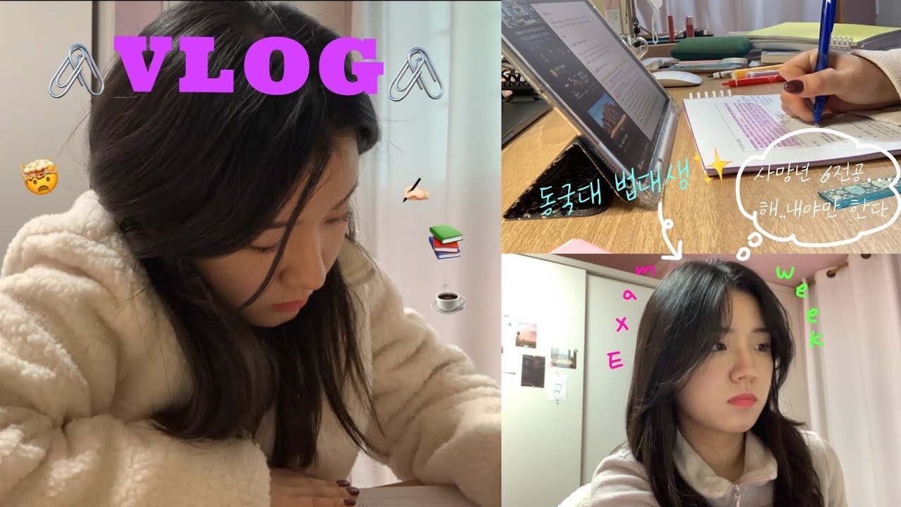 Vlog 대학생 시험기간 브이로그 법대생 사망년의 시험기간🥲 Feat 7일간의 기록 갈수록 정신이 이상해지는 중간고사 기간 잠과의 사투 벌이기