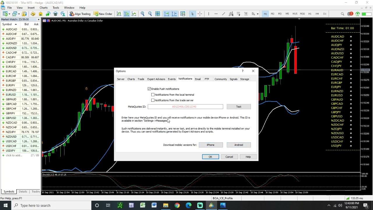 Binary Options Assistant Signals Push Notifications - YouTube