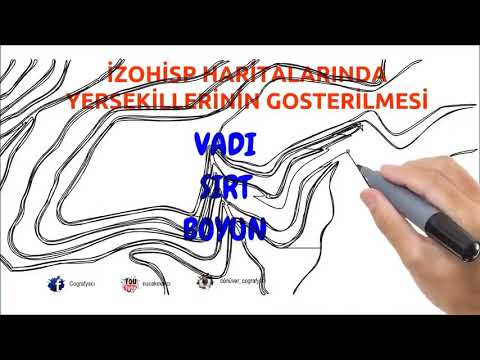 İzohips