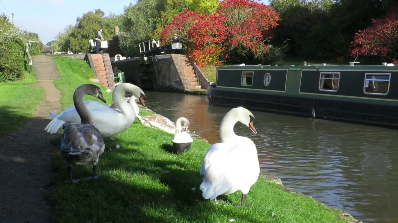 A bimble to Stoke Bruerne and back... - YouTube