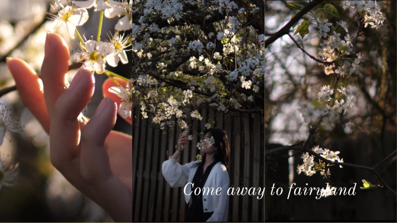 "Dear March—Come in—" | A Cinematic Poem | Leica 25mm f/1.4 | Panasonic ...