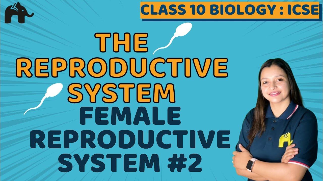 The Reproductive System Class 10 ICSE Biology Chapter 1 | Selina Female ...