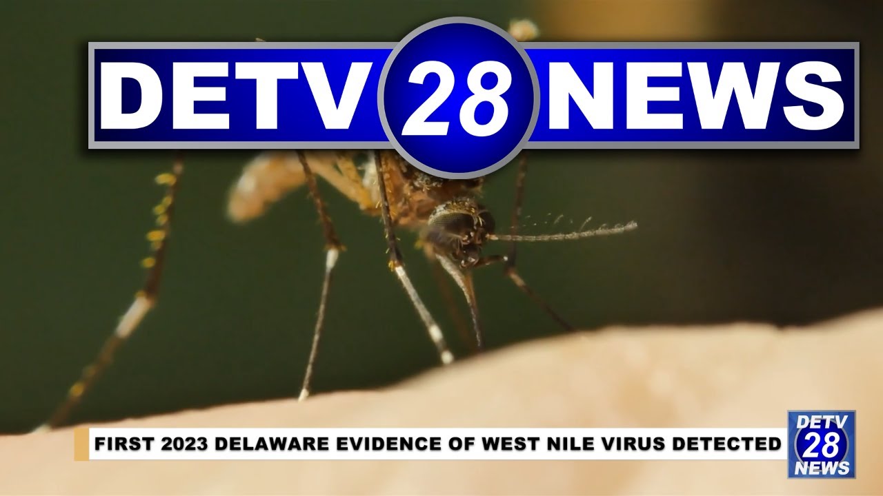 DETV News Brief for August 9, 2023 - YouTube