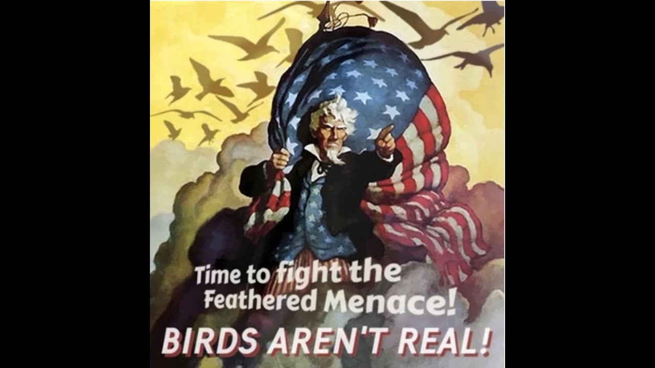 Let's Play World of Warcraft Tauren Warlock Part 42 Birds Are A ...