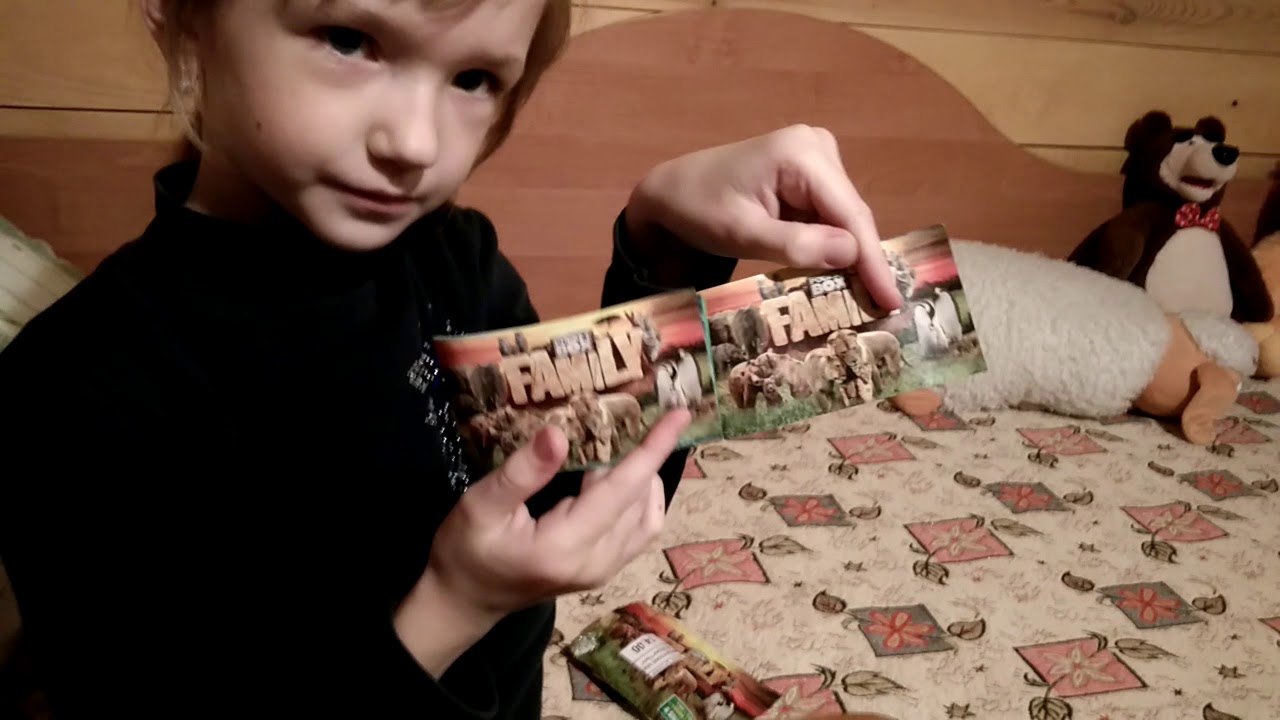 Мой обзор на Poket Box Family Тигр и лошадь - YouTube