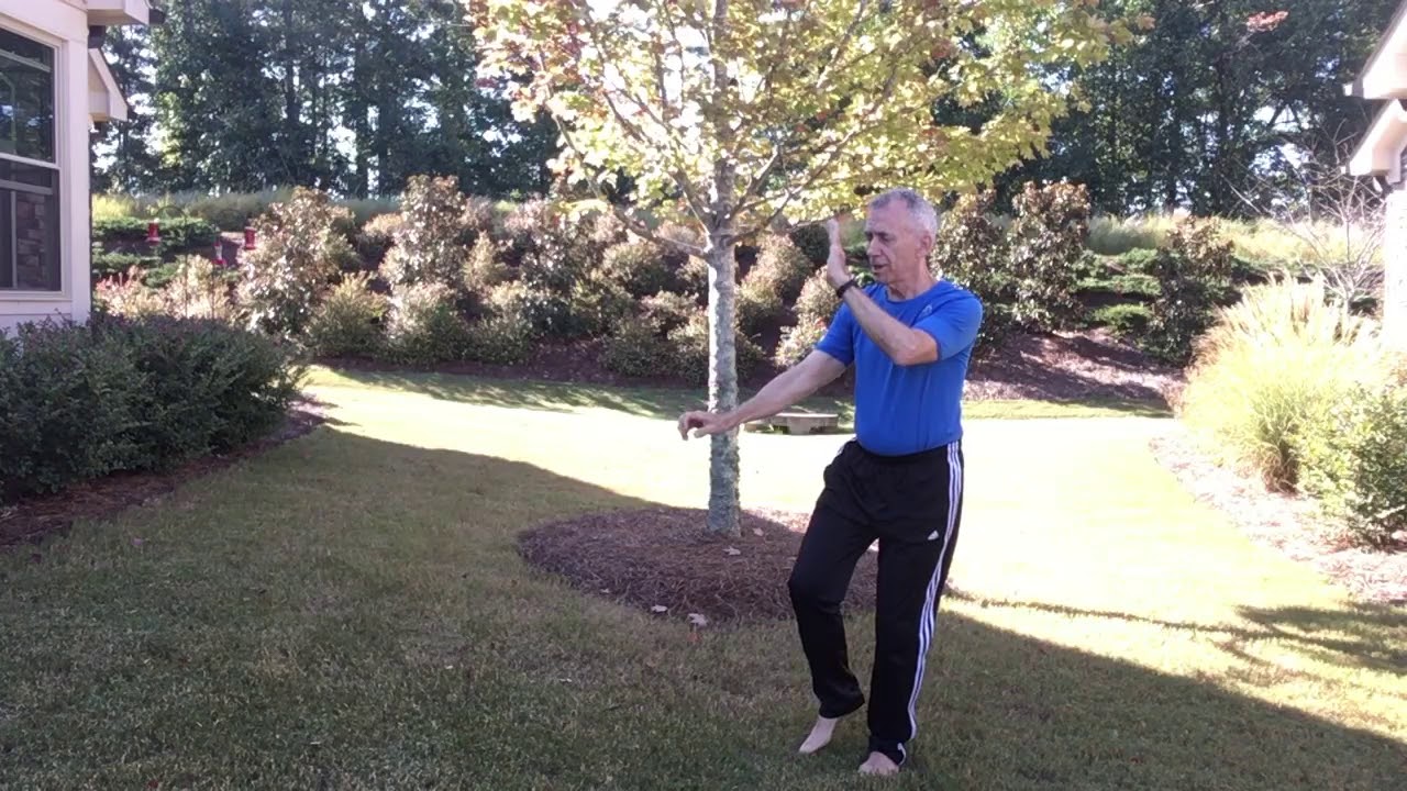 Tai Chi Yang Form 24 Lesson 10 Search for Needle, Fan to Back to ...
