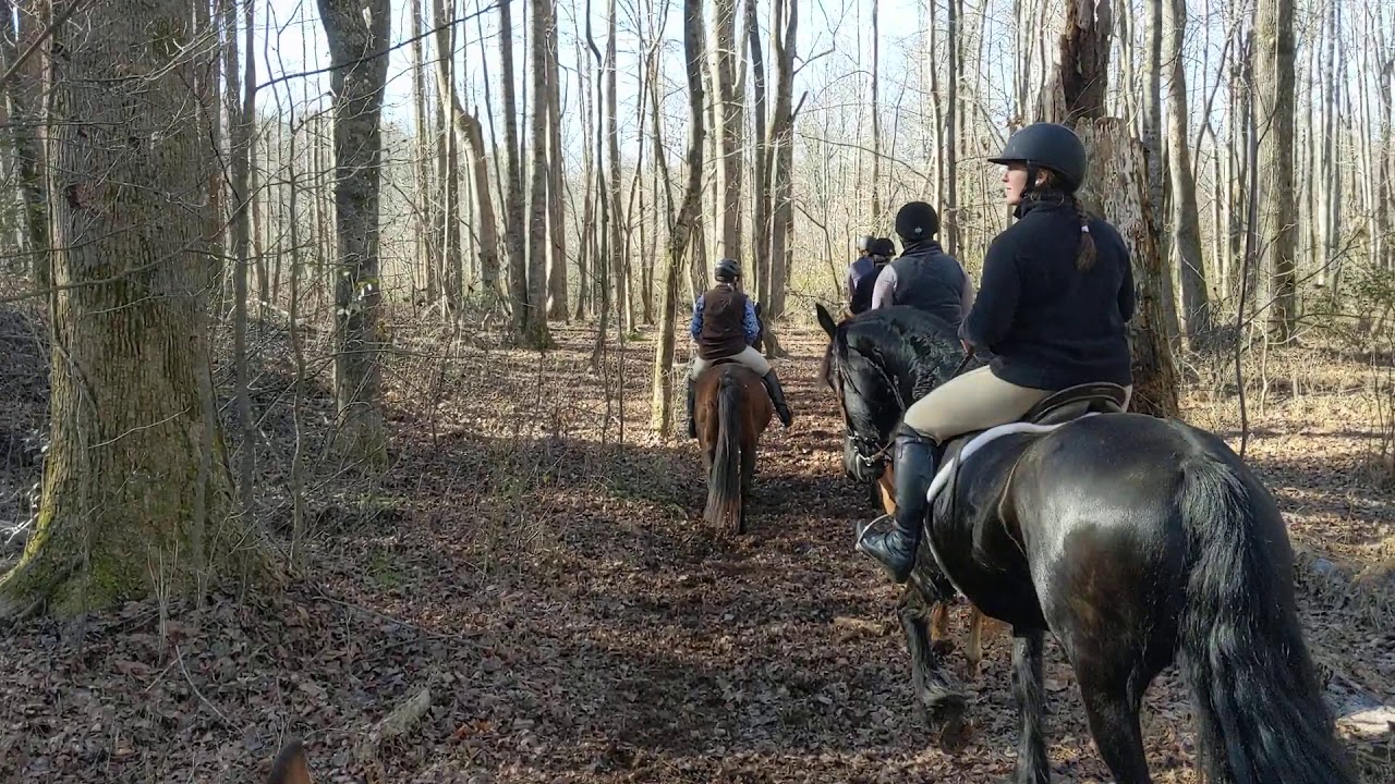 New Year's Eve Fox Hunt - YouTube
