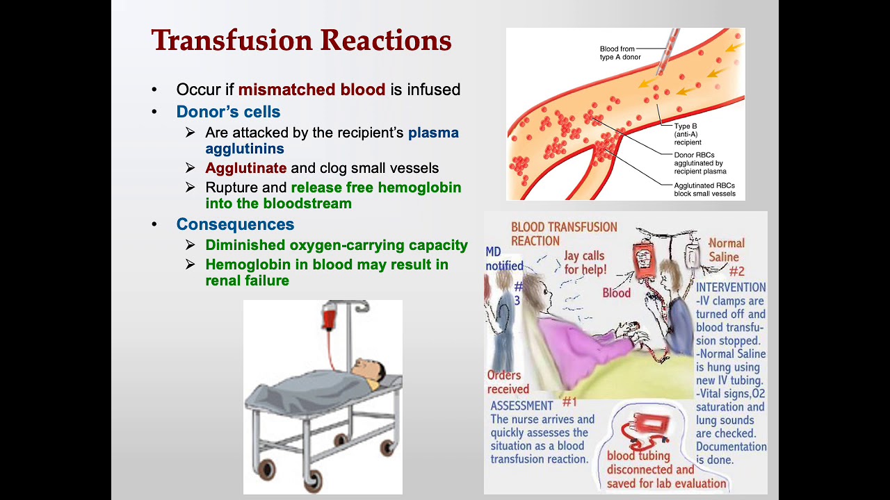 Annotated Blood Disorders 3 - YouTube