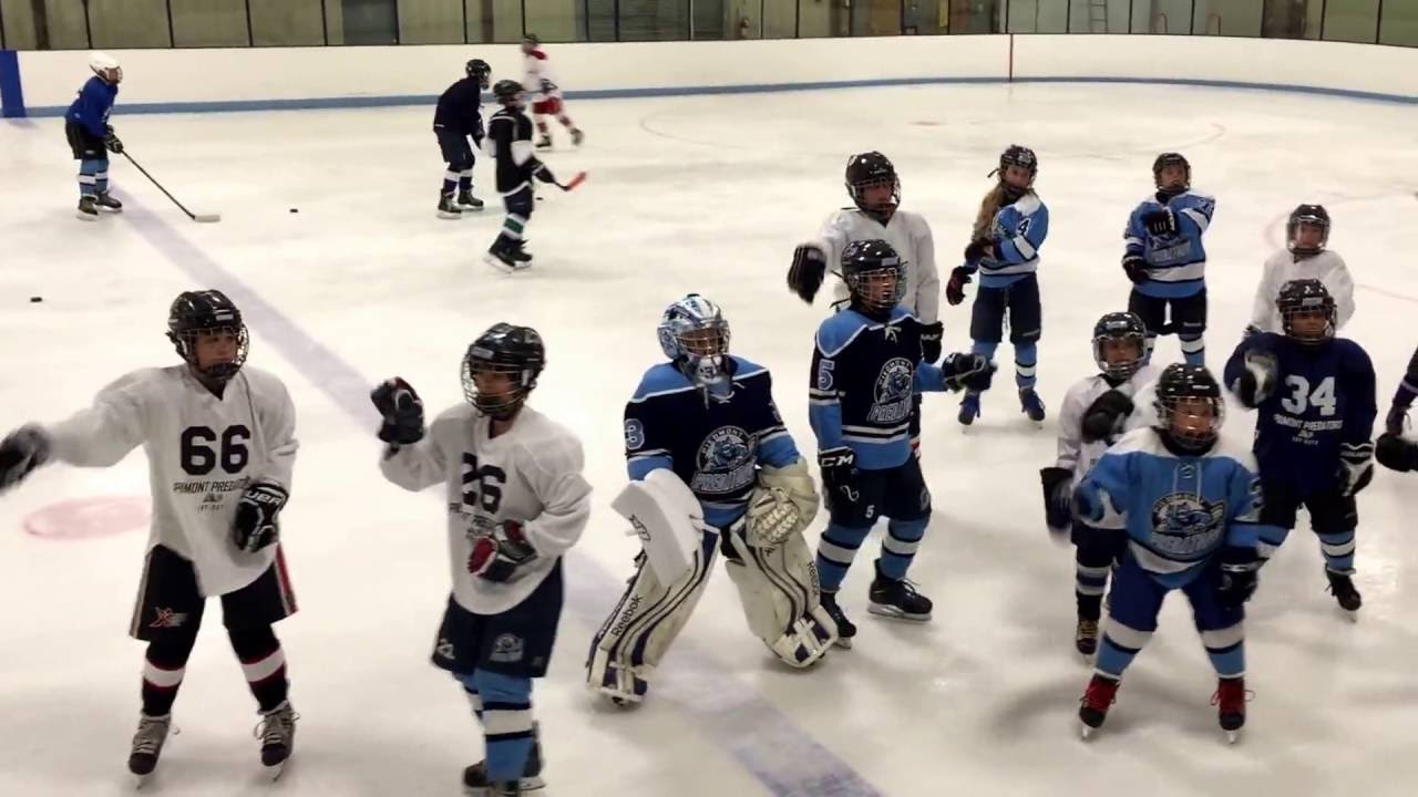 Piedmont Predator Hockey Players National Dance Day Routine 2016 - YouTube