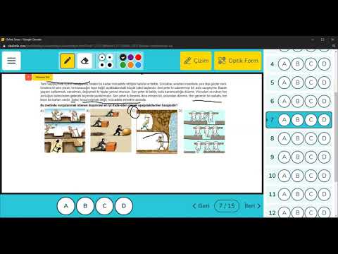 6. sınıf okulistik deneme çözüm