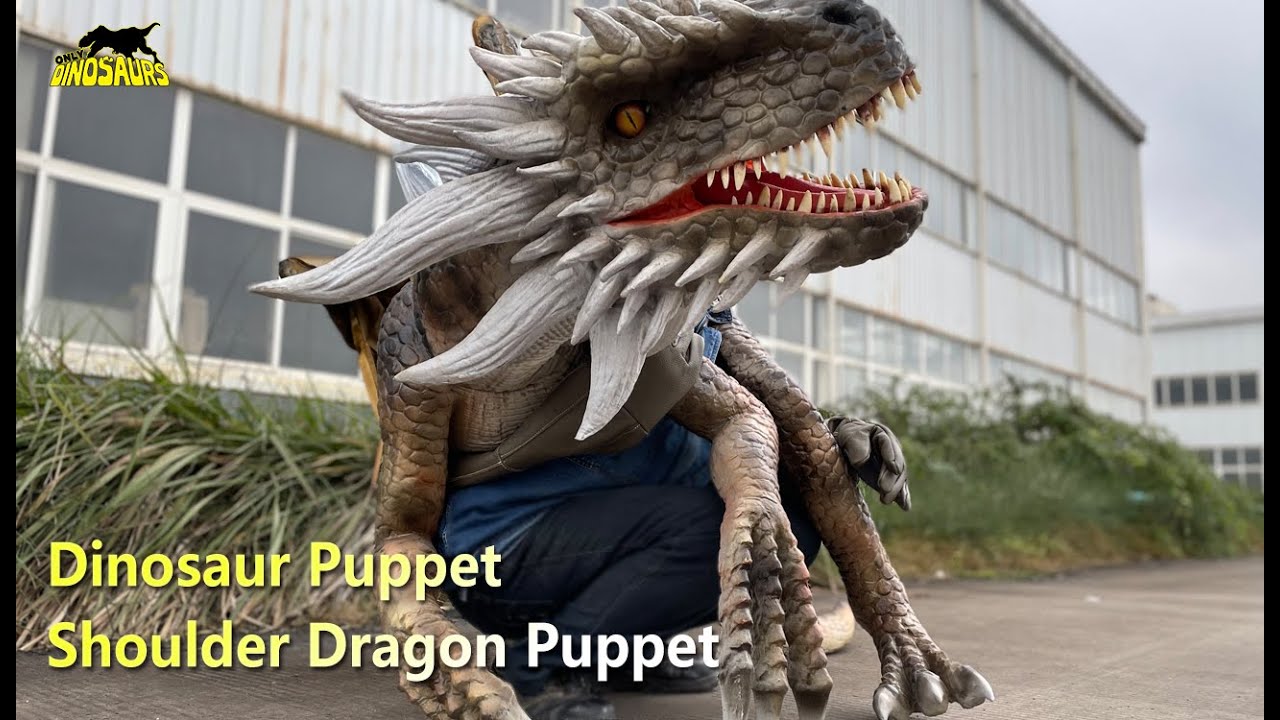 Flying Dragon Puppet on the Shoulder | Puppets - YouTube